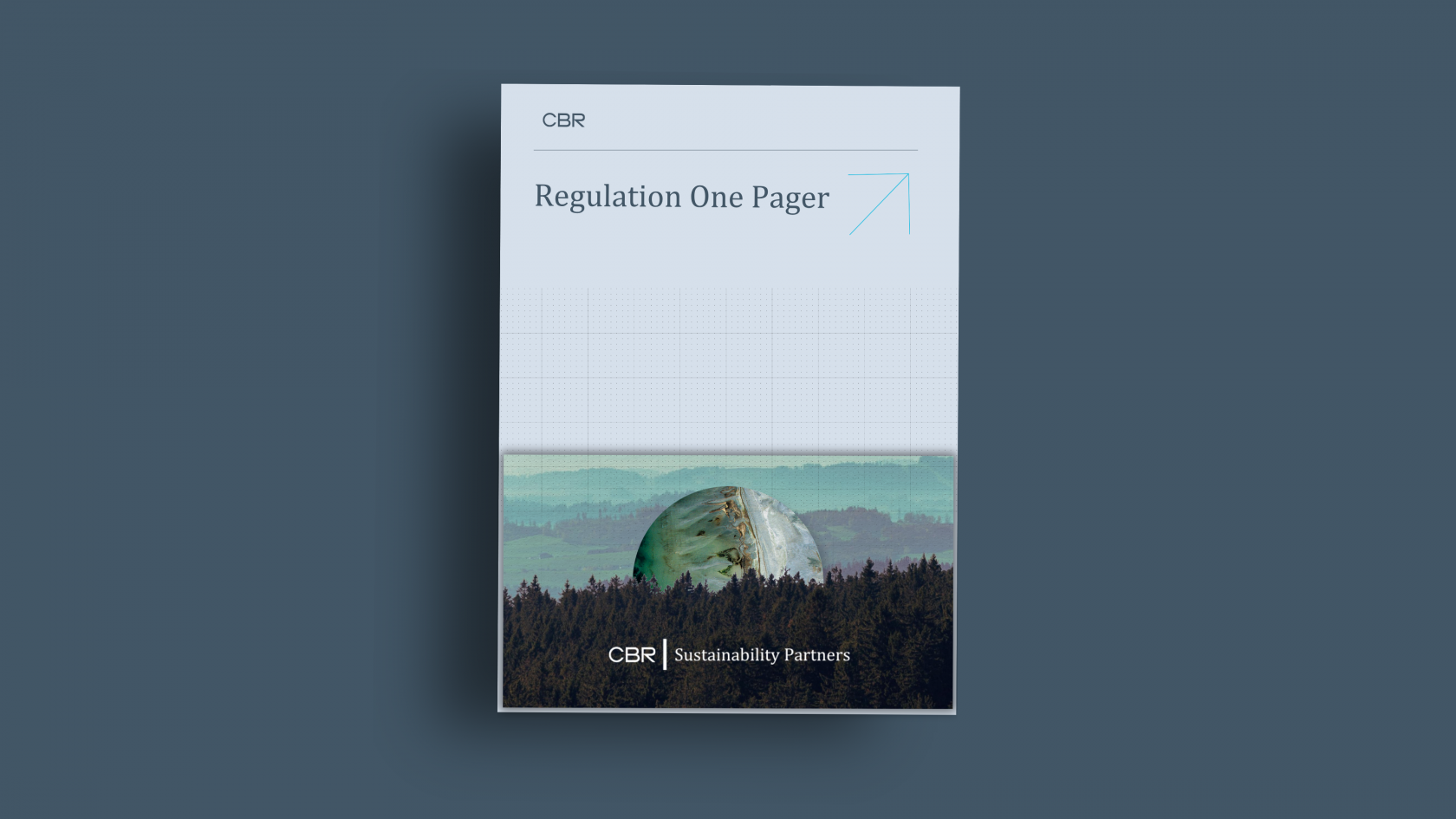 European Deforestation Regulation (EUDR) - CBR Sustainability Partners